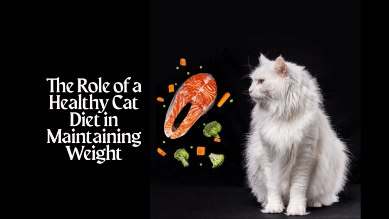 Healthy Cat Weight Chart: Ideal Weights By Age & Breed - Pet 76